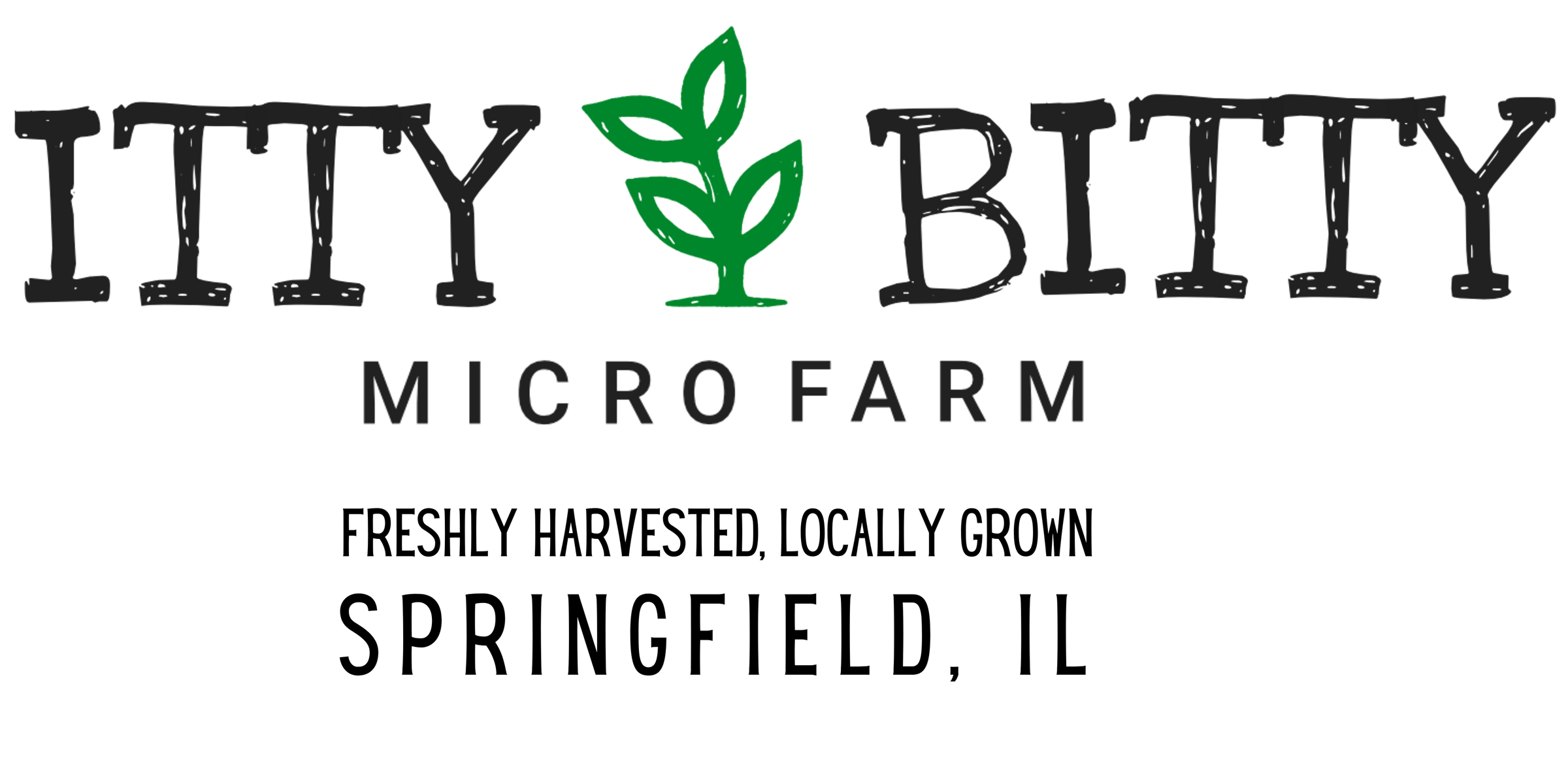 Microgreens, Lettuce, Edible Flowers | Itty Bitty Micro Farm